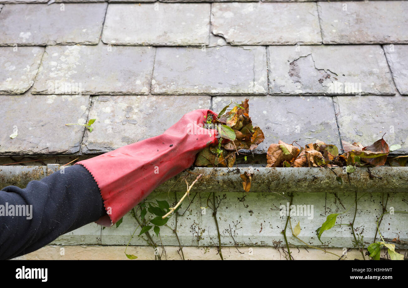 Gutters blocked hi-res stock photography and images - Alamy