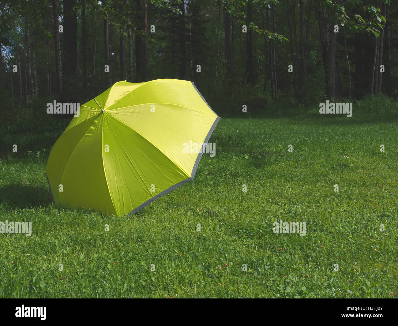 A yellow umbrella in a grass lawn with dark forrest in the background ...