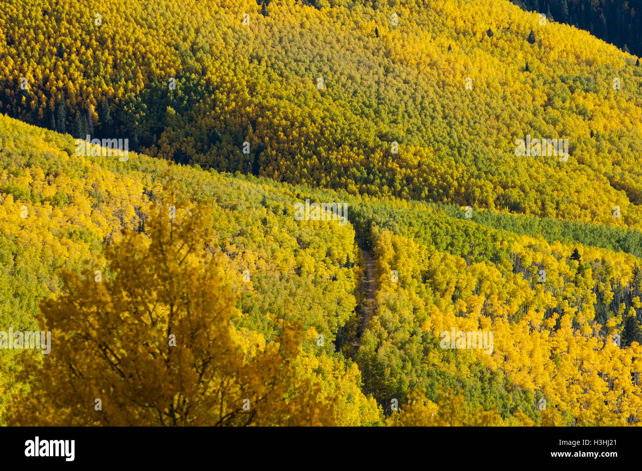 Santa fe national forest hi-res stock photography and images - Alamy