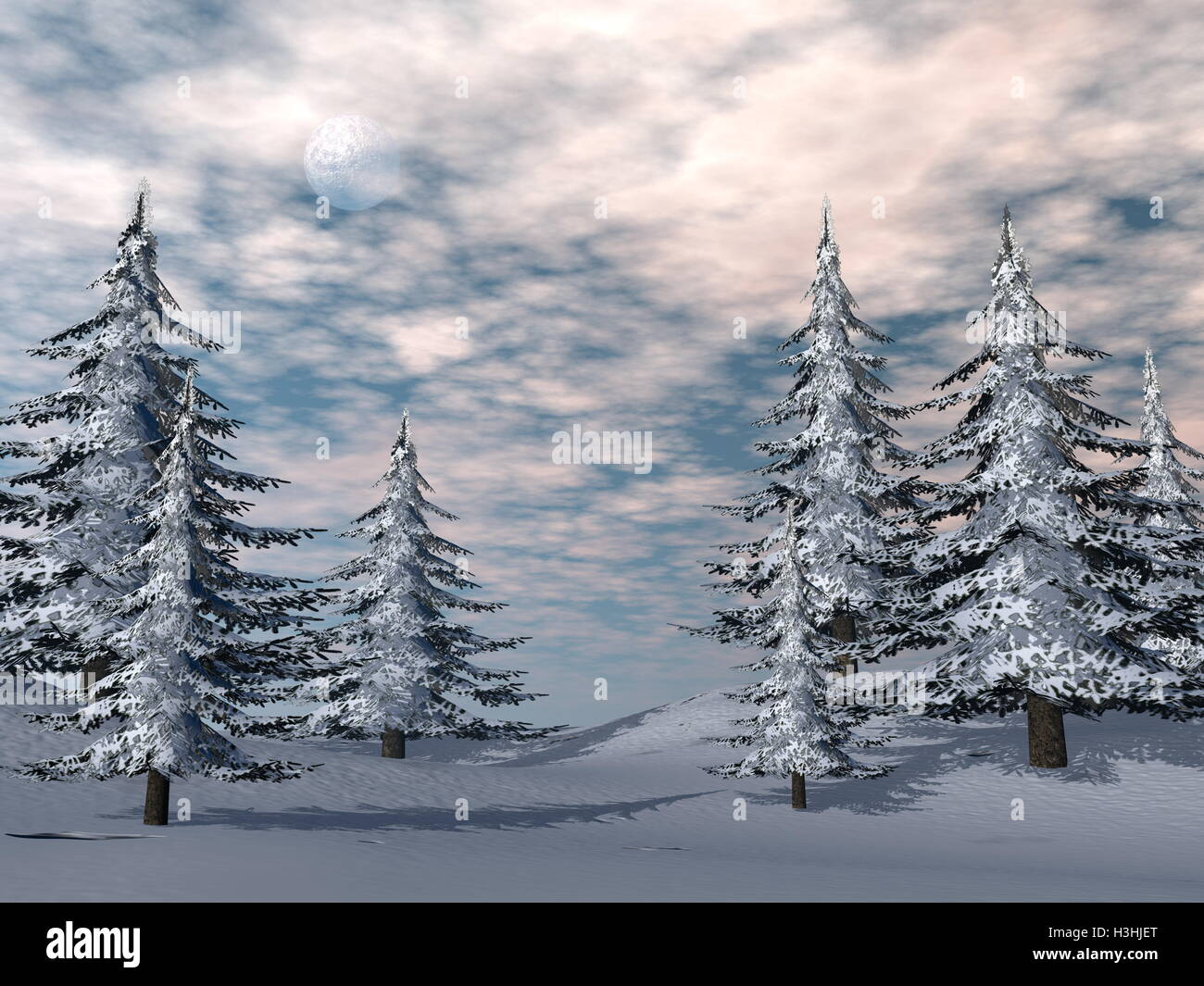 Winter fir trees landscape by sunset - 3D render Stock Photo - Alamy