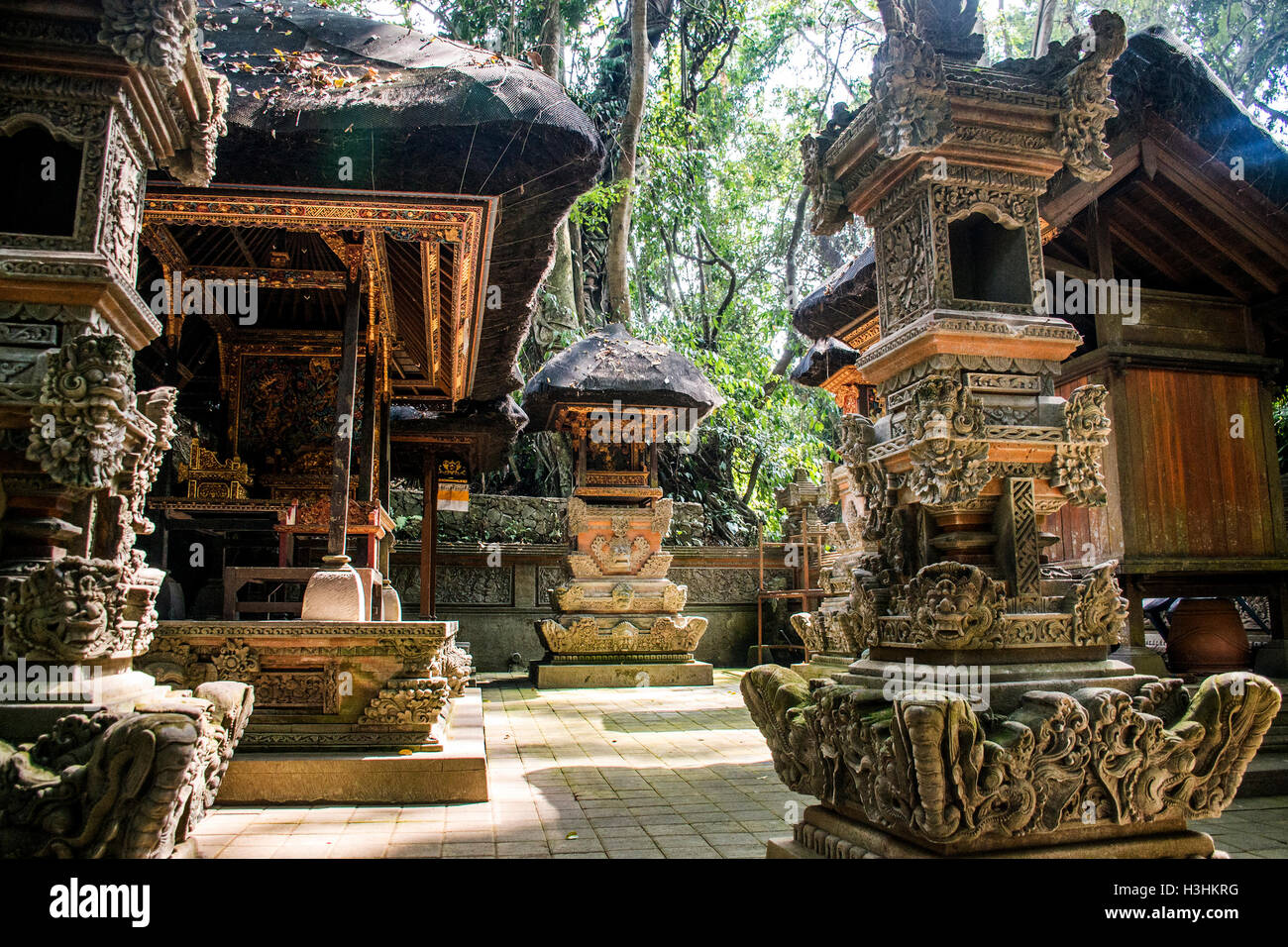 Ubud forest bali scenery hi-res stock photography and images - Alamy