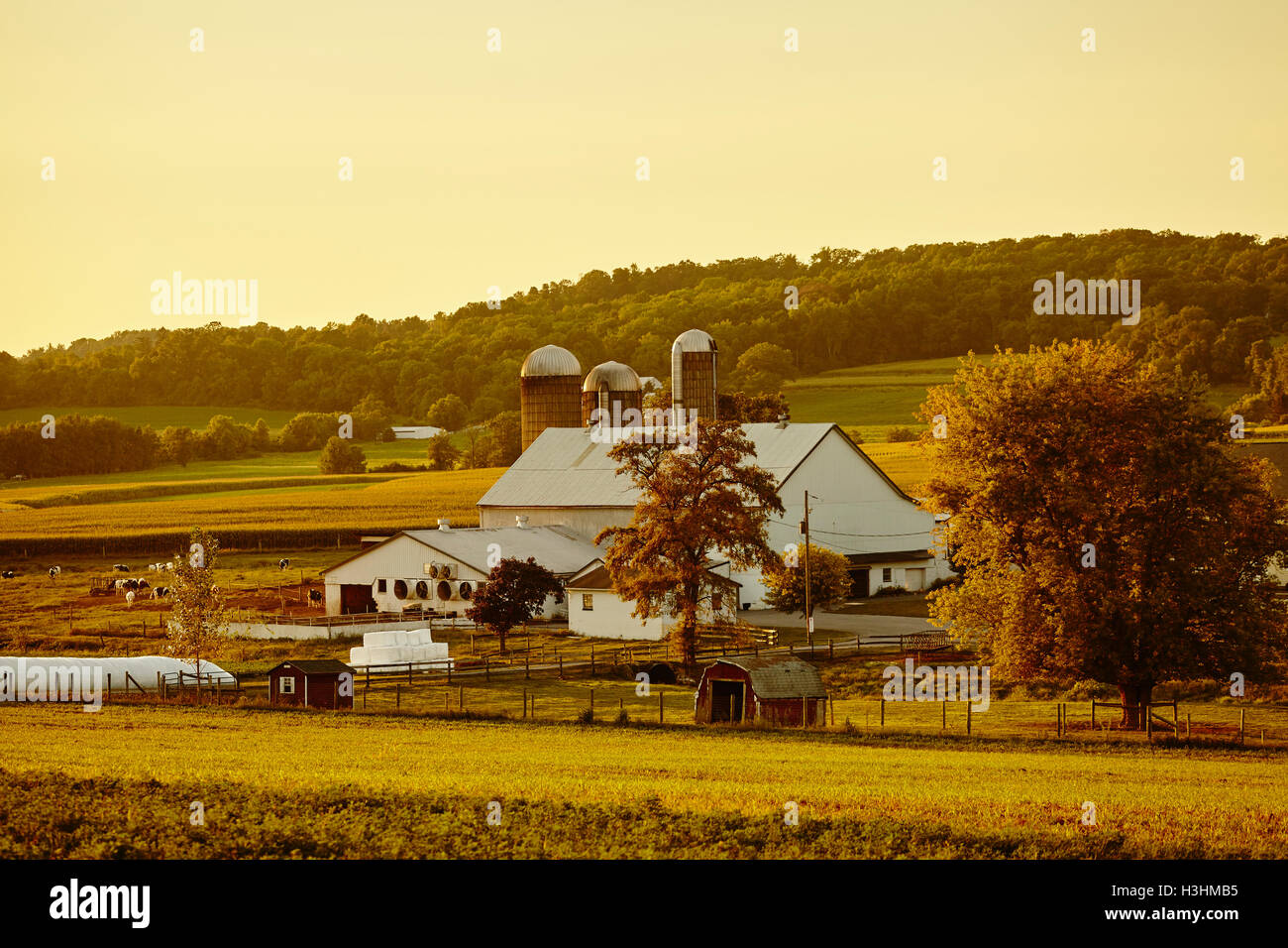 Traditional Farm, Amish Country, Lancaster County, Pennsylvania, USA ...