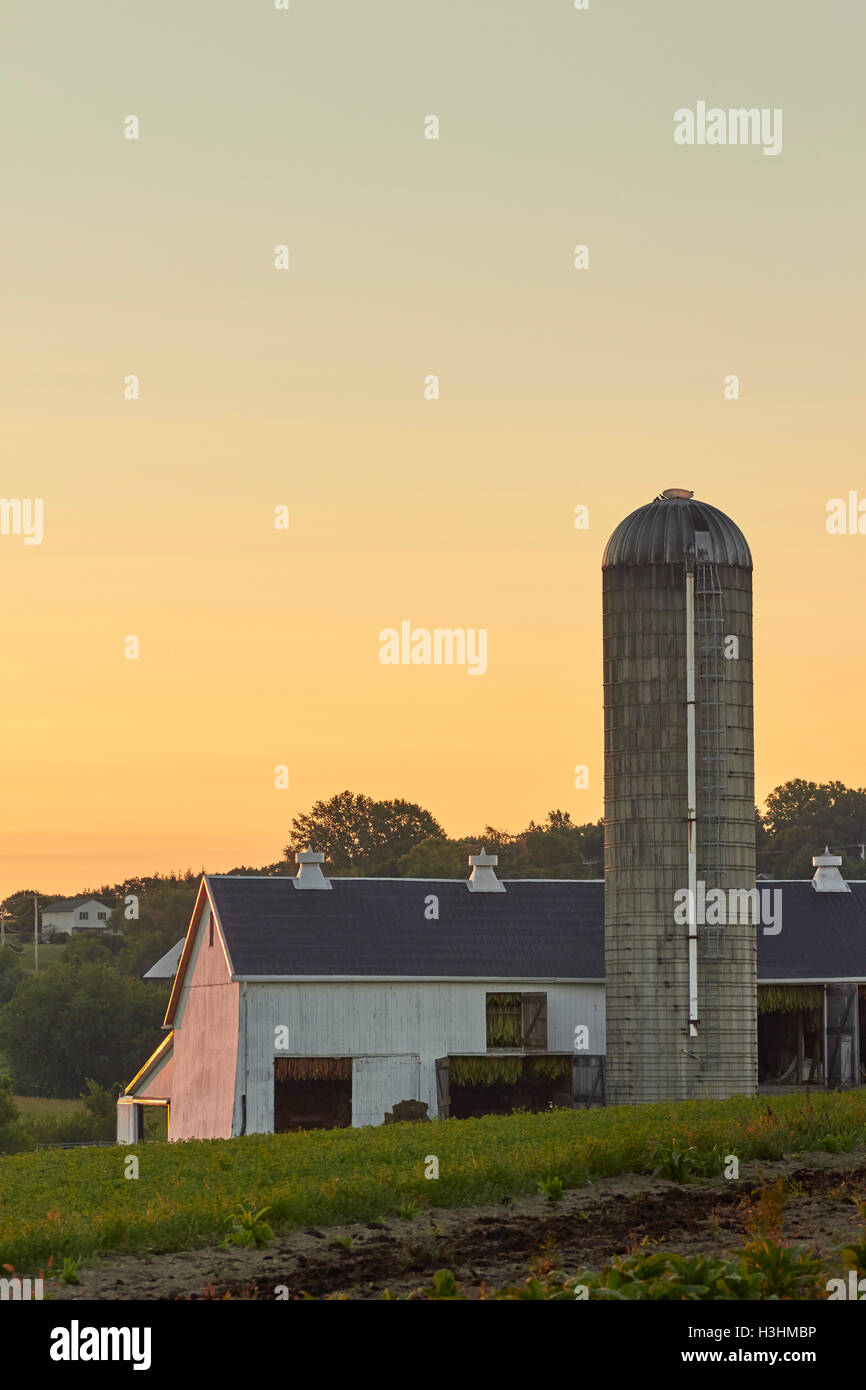 Pennsylvania Amish High Resolution Stock Photography and Images - Alamy