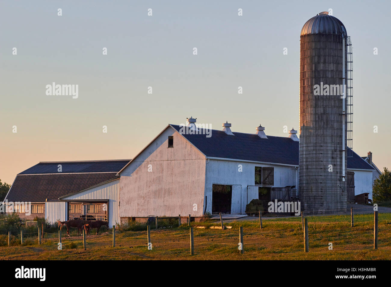 Traditional Farm, Amish Country, Lancaster County, Pennsylvania, USA ...