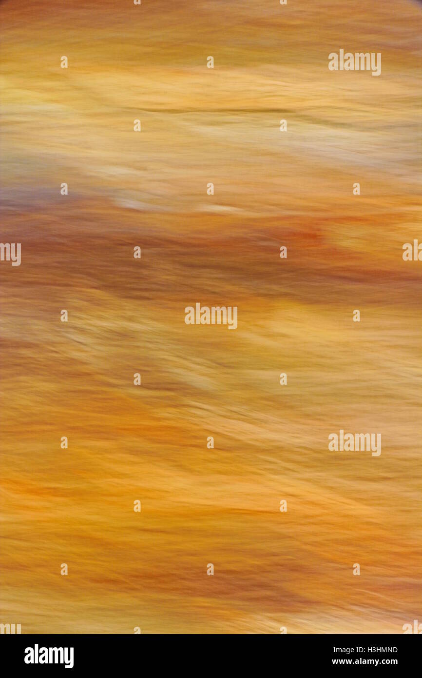 Beige nature motion blur background Stock Photo - Alamy