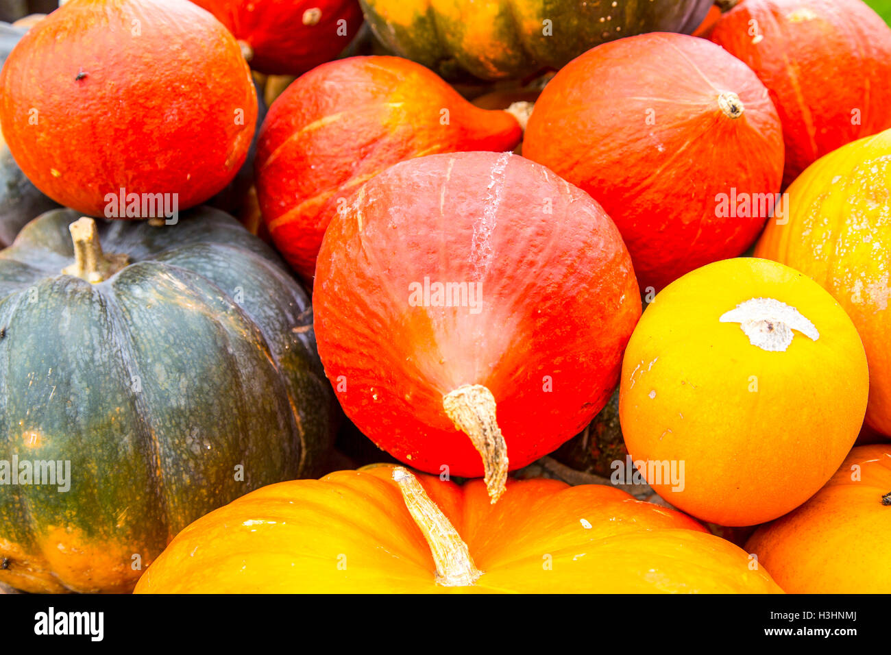 Fruits field hi-res stock photography and images - Alamy