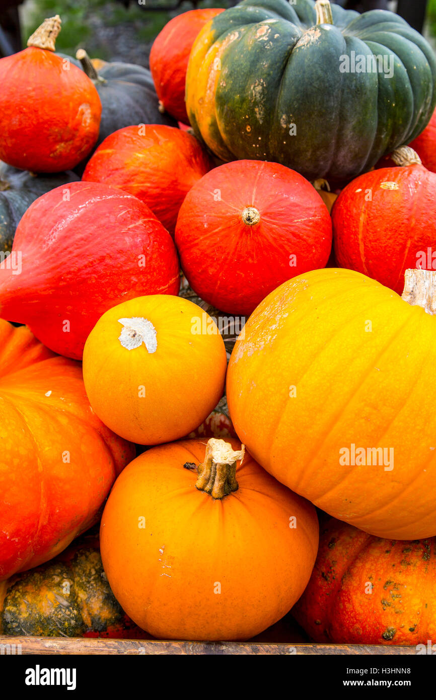 Fruits field hi-res stock photography and images - Alamy