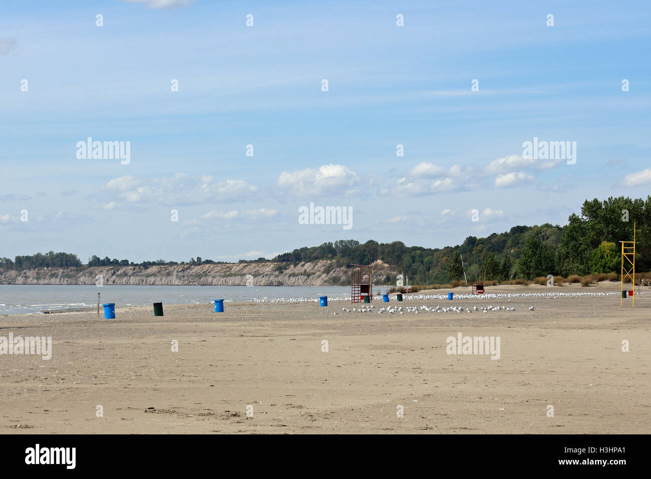 Beach scene with gulls clouds cliffs and trees Stock Photo - Alamy