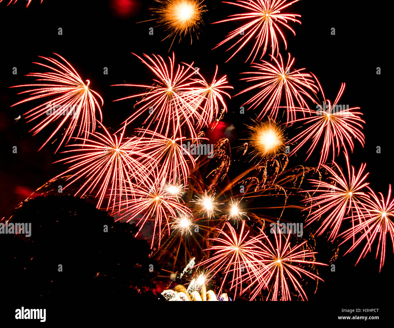 Red star bursts. Spectacular fireworks Stock Photo - Alamy