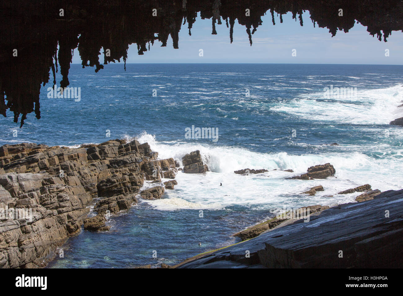 Admiral Arch natural rock formation in Cape Du Couedic, Flinders chase ...