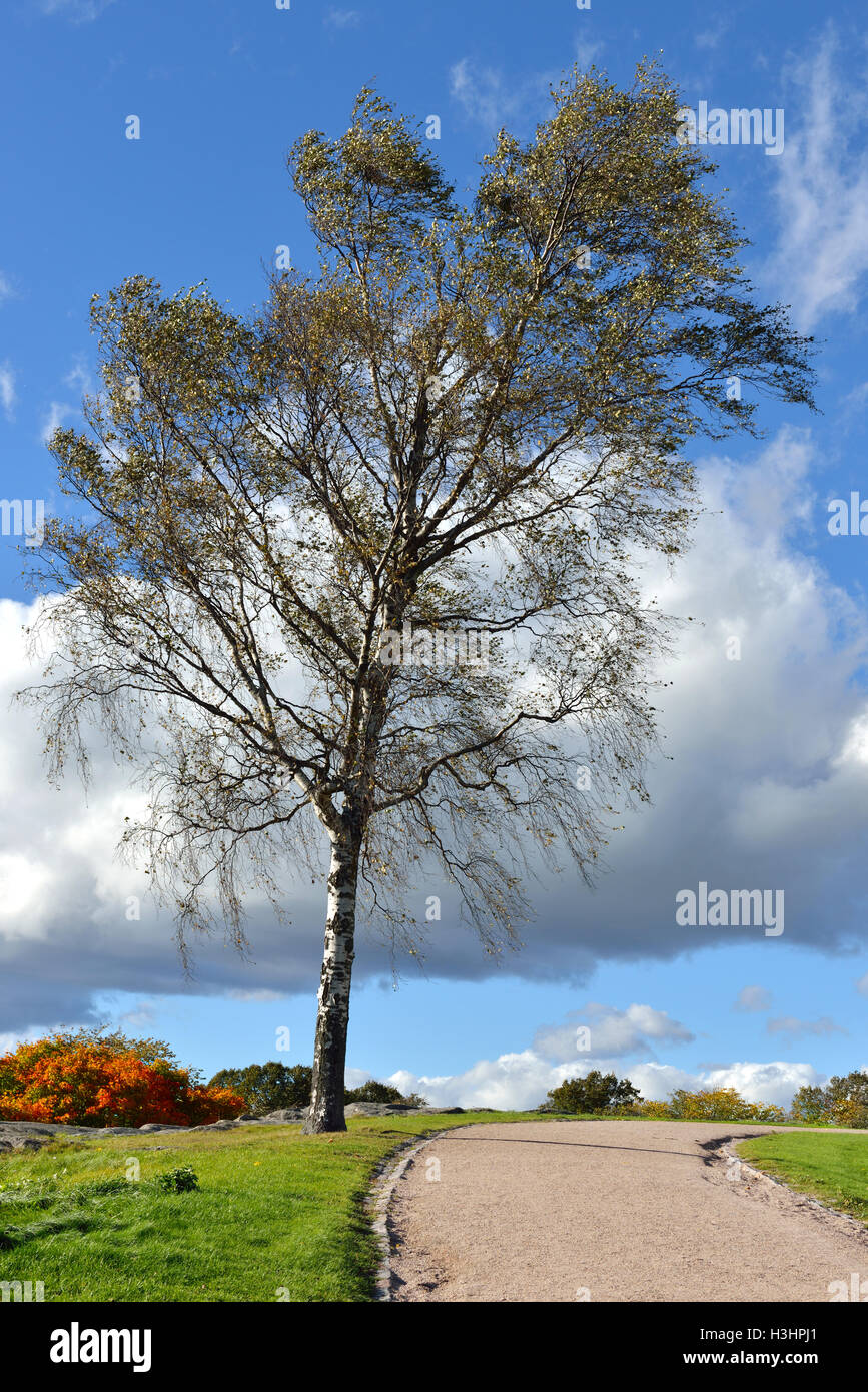 Strong Wind High Resolution Stock Photography and Images - Alamy