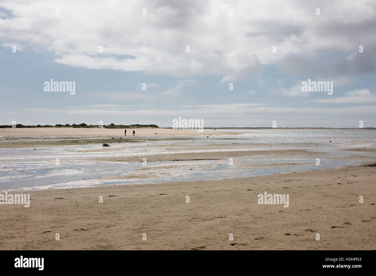 Island of armona beach hi-res stock photography and images - Alamy