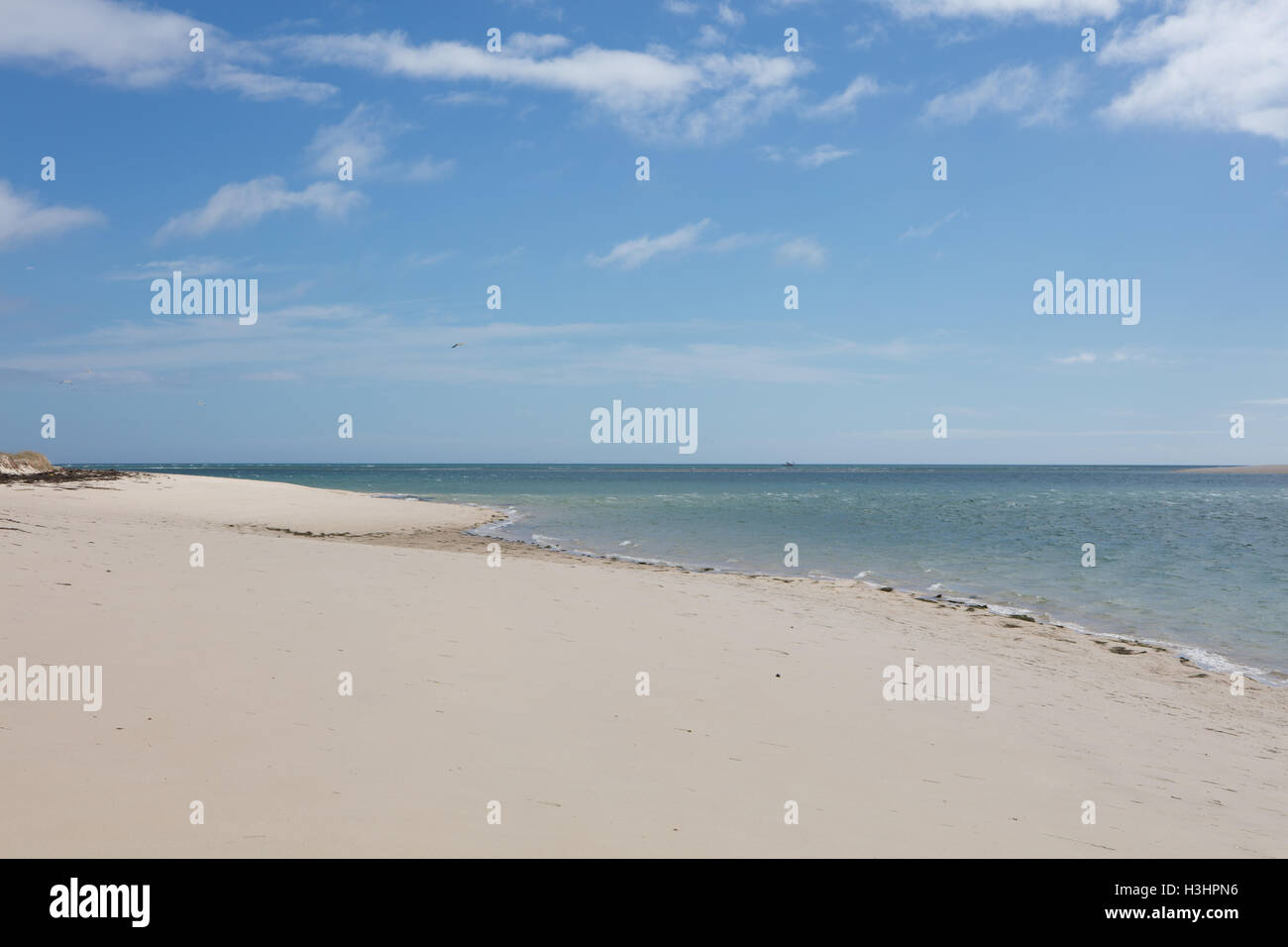 Armona island off Olhao, Algarve, Portugal Stock Photo - Alamy