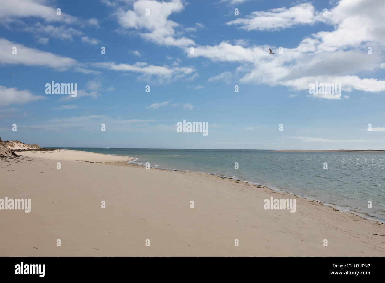 Armona island beach hi-res stock photography and images - Alamy