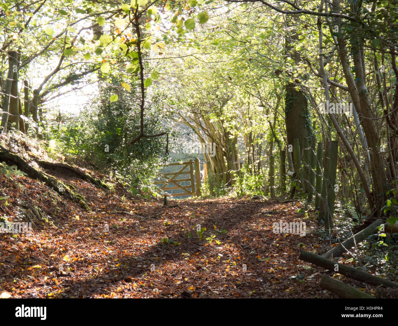 Failand hi-res stock photography and images - Alamy