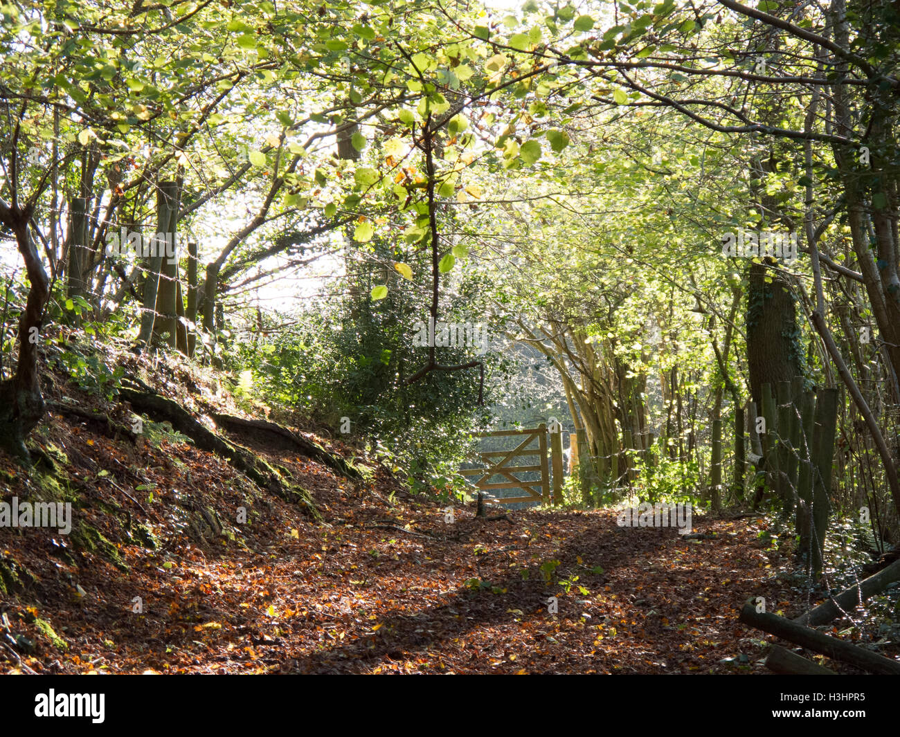 Failand hi-res stock photography and images - Alamy