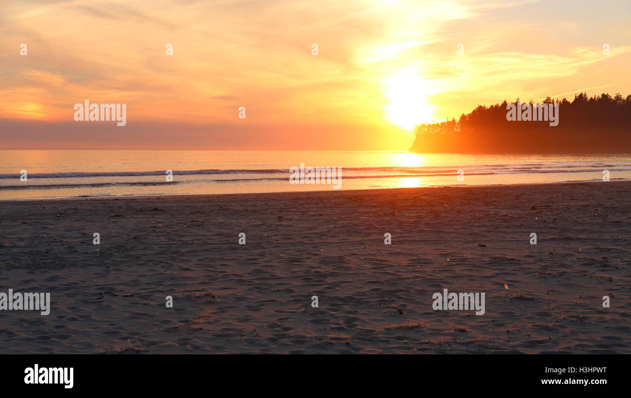 Beach forest in background hi-res stock photography and images - Alamy