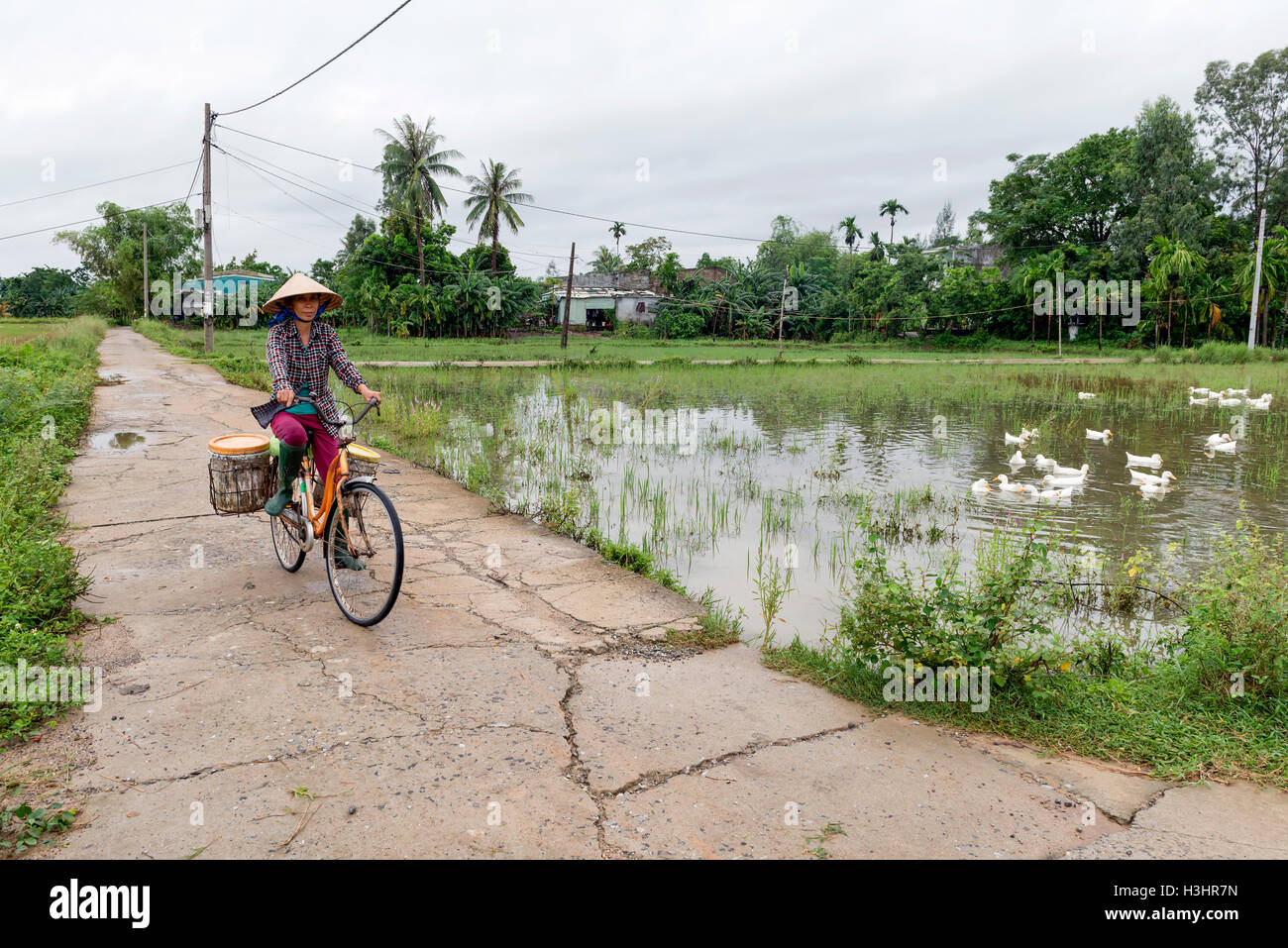 Rural scene in Vietnam Stock Photo - Alamy