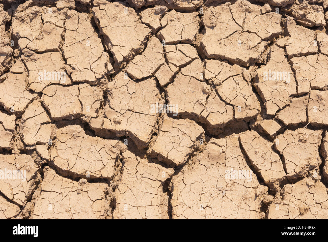 Surface of dry cracking earth for textural background Stock Photo - Alamy