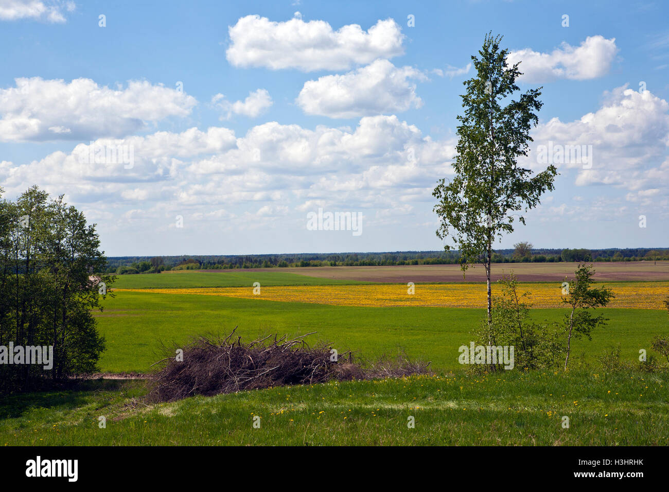 Rural latvia hi-res stock photography and images - Alamy