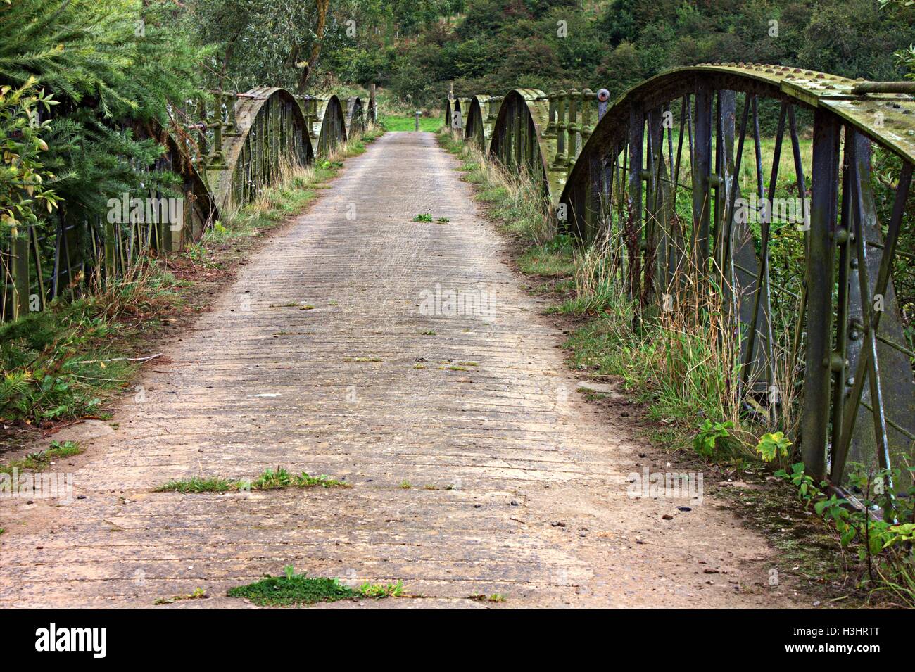 Girsby Bridge across the river Tees near Darlington built 1870 Stock ...