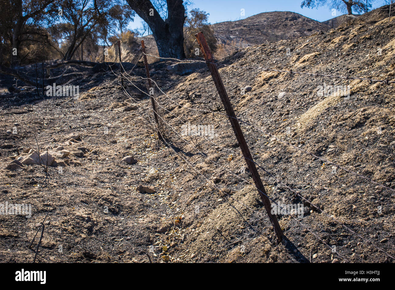 Line of barbed wire fence stretched through area of forest fire in ...