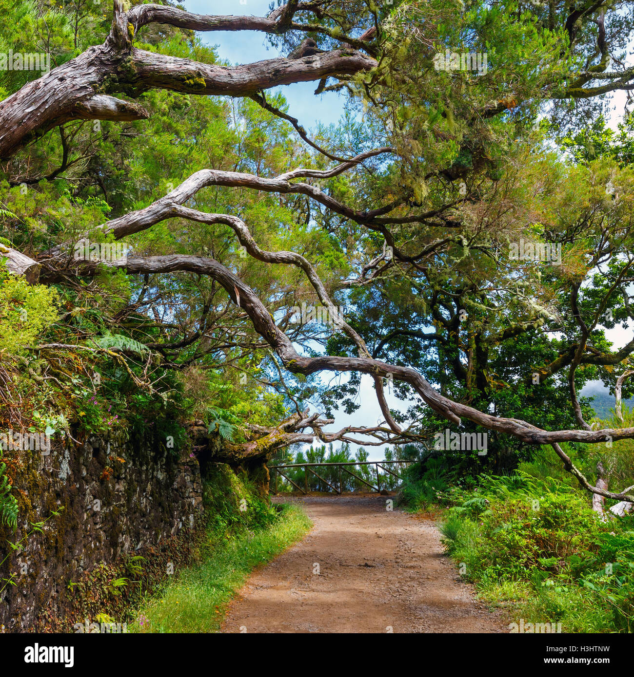 Lewada das 25 fontes hi-res stock photography and images - Alamy