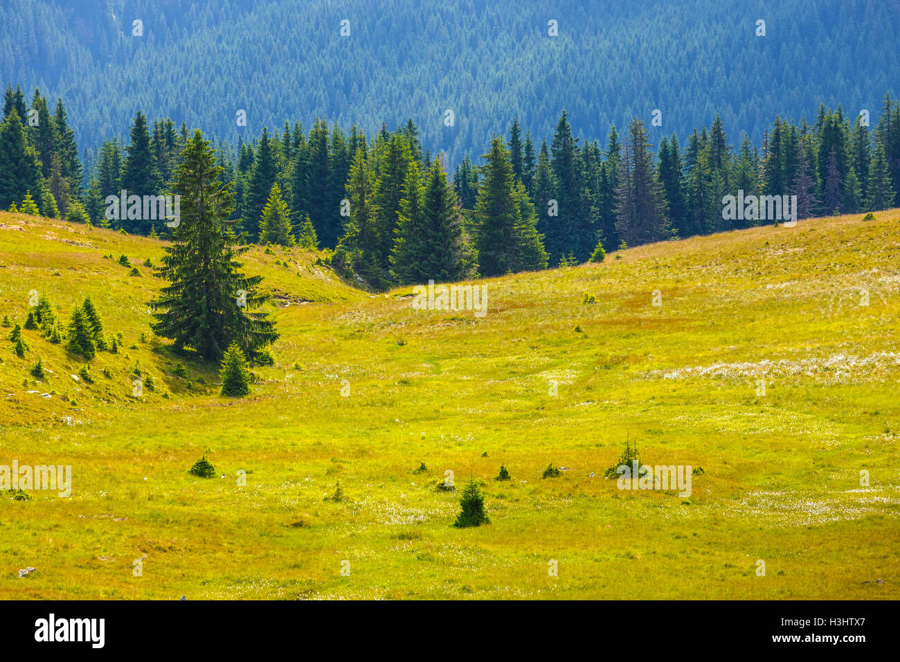 Landscape of Transalpina road in Parang Mountains, Romania Stock Photo ...
