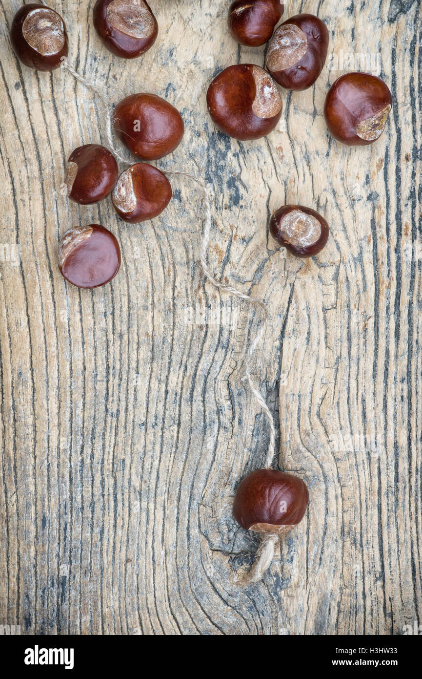 Horse chestnut tree wood grain hi-res stock photography and images - Alamy