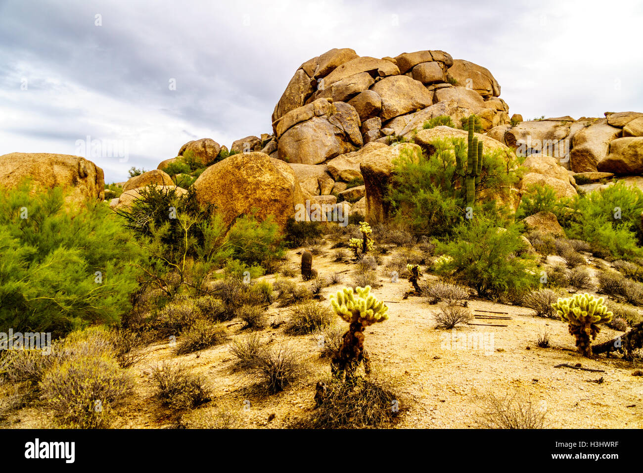 Arizona desert boulders hi-res stock photography and images - Alamy