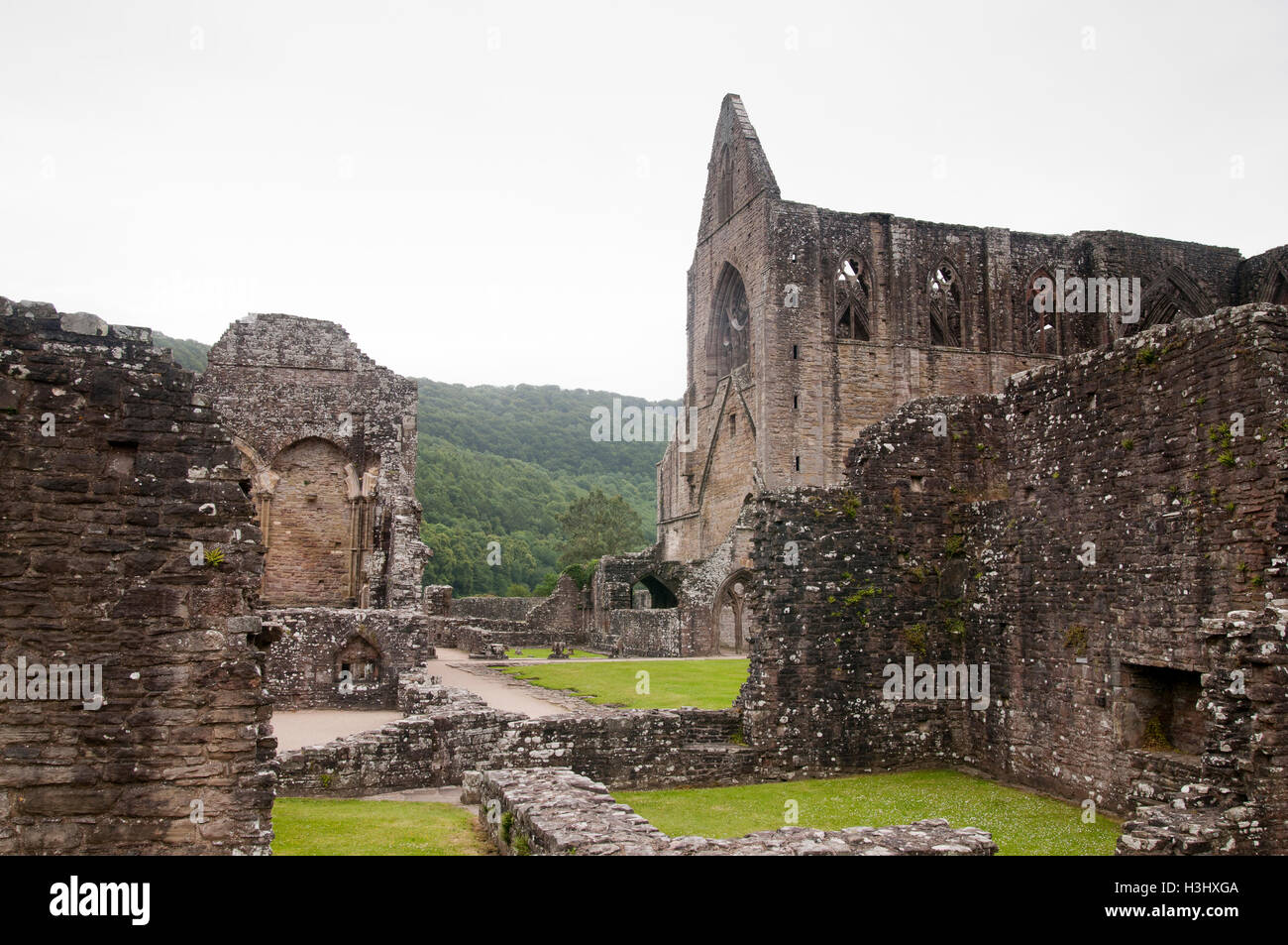 Tintern Abbey , London, UK - Stock image Stock Photo - Alamy