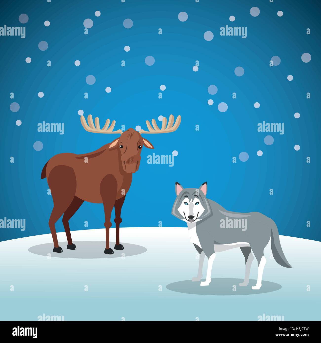moose and wolf with snowy background image Stock Vector Image & Art - Alamy