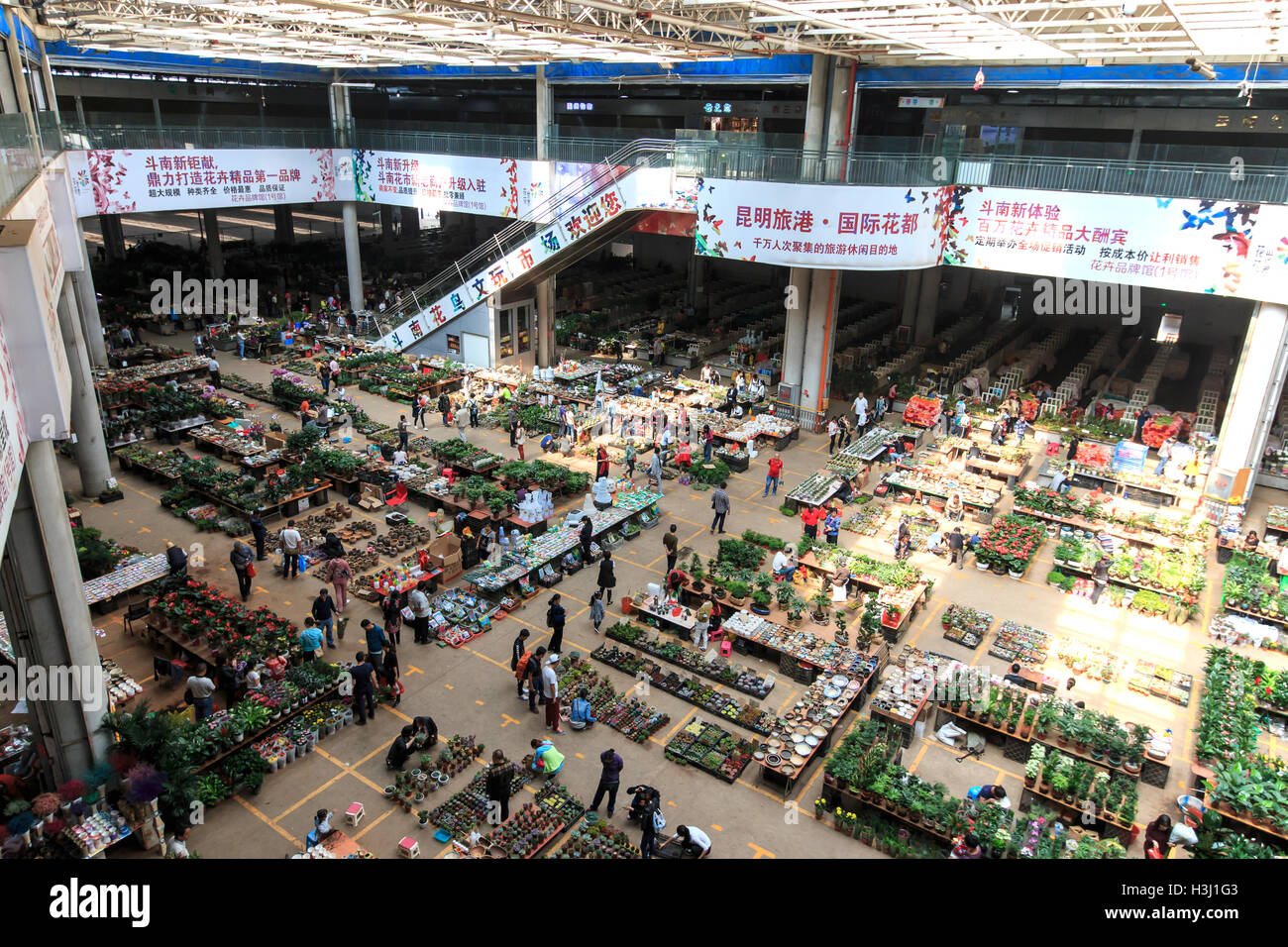 Bird market kunming hi-res stock photography and images - Alamy
