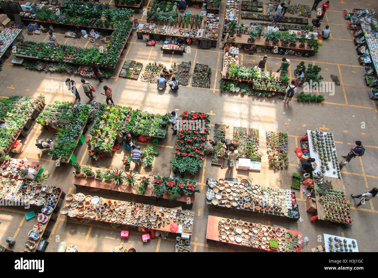 Bird market kunming hi-res stock photography and images - Alamy