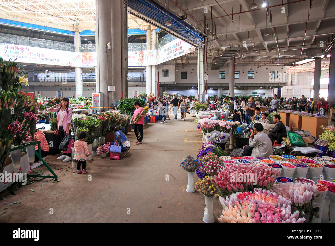 Kunming, China - October 7, 2016: People at the Kunming Dounan Flower ...