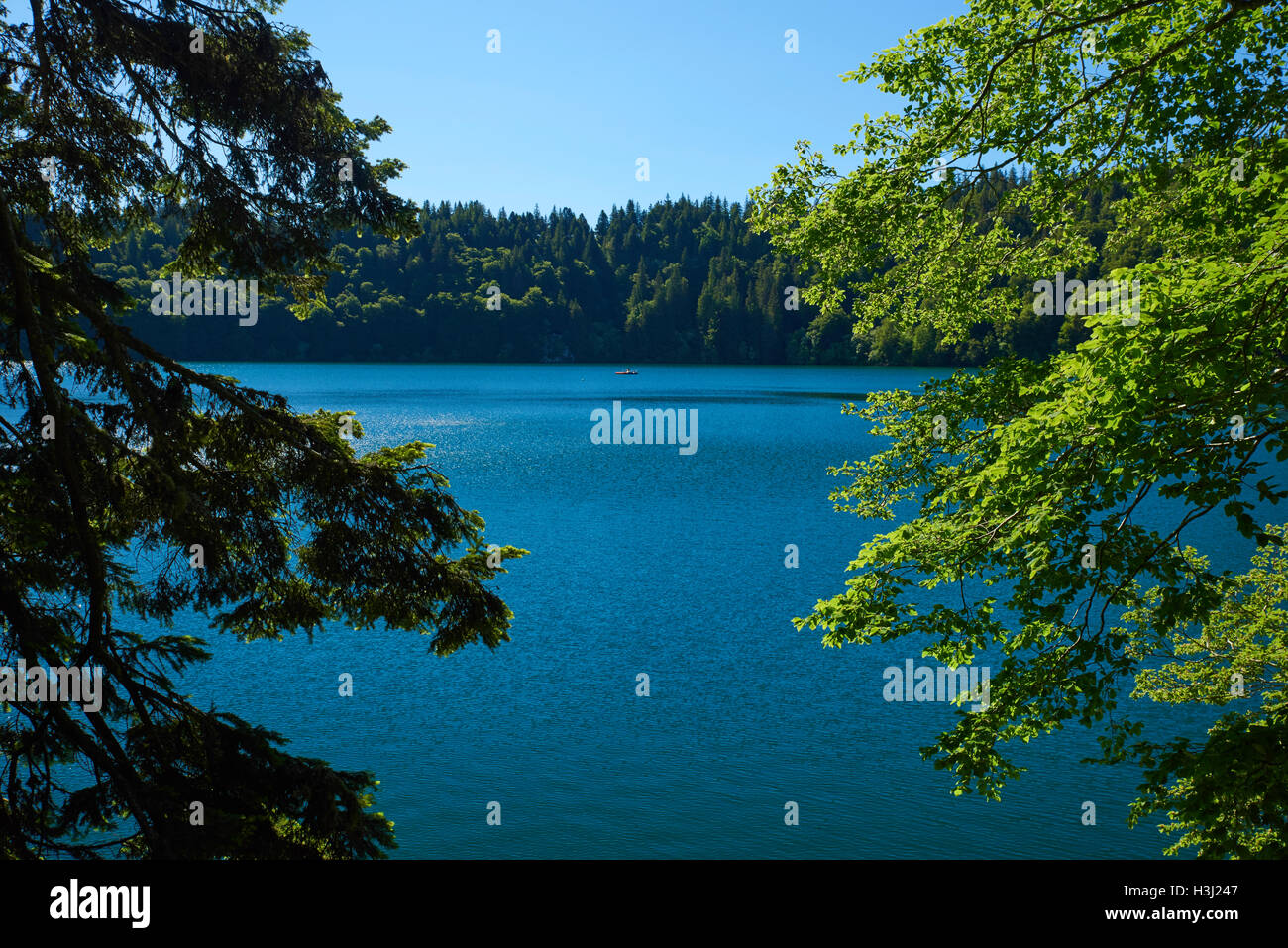 Lac pavin hi-res stock photography and images - Alamy