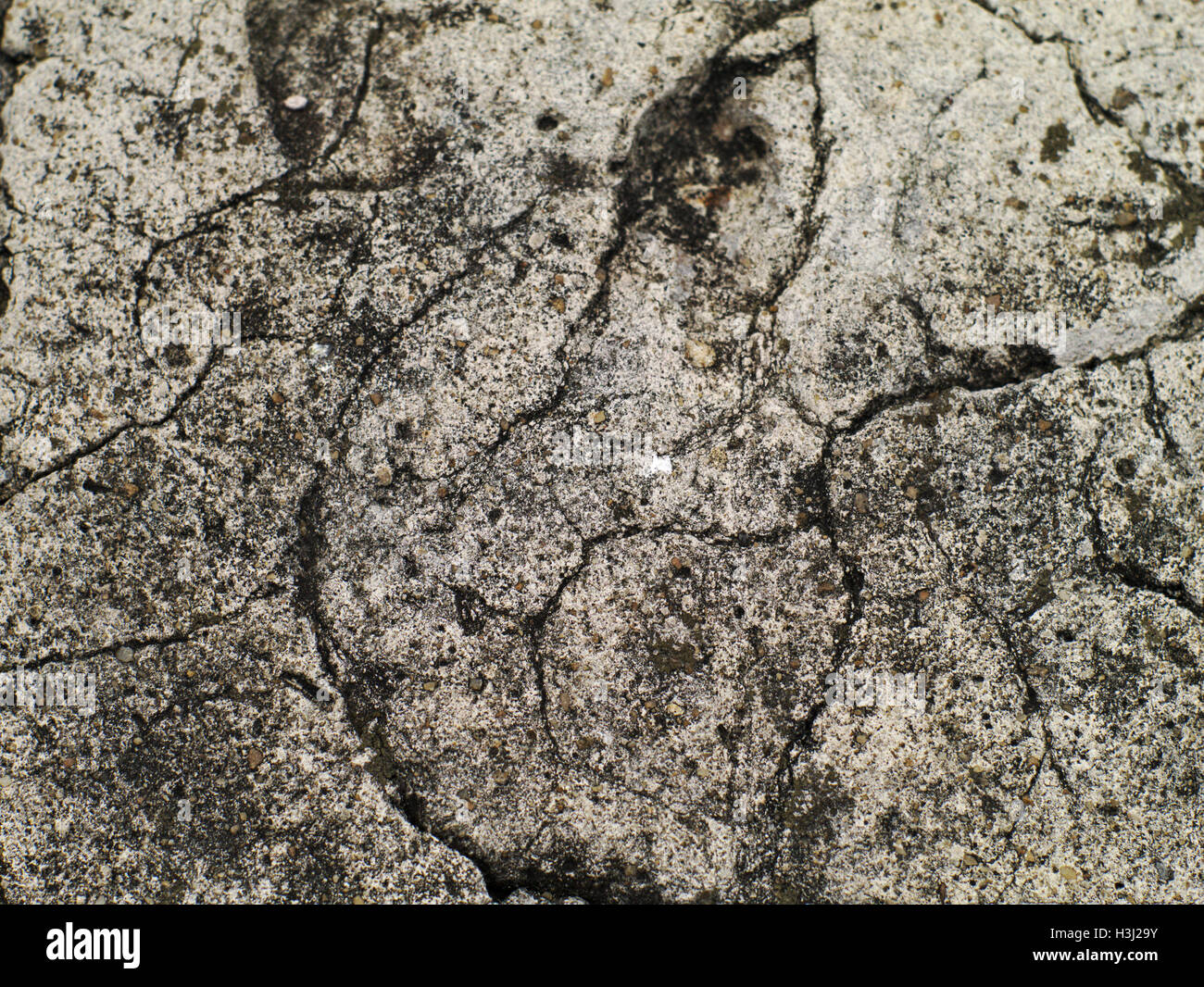 Cracked grainy concrete surface hi-res stock photography and images - Alamy