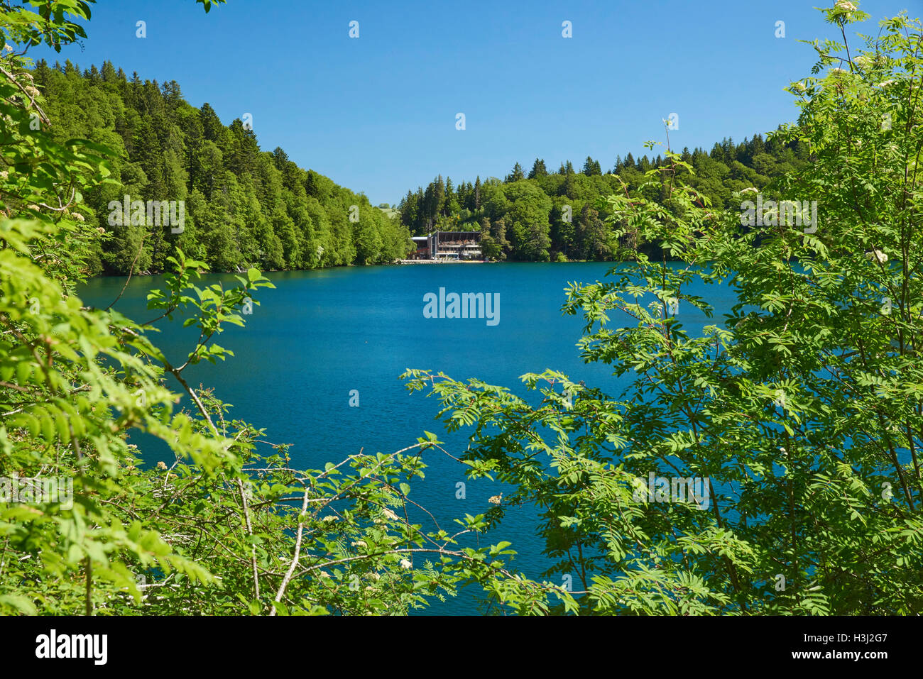 Pavin lake hi-res stock photography and images - Alamy