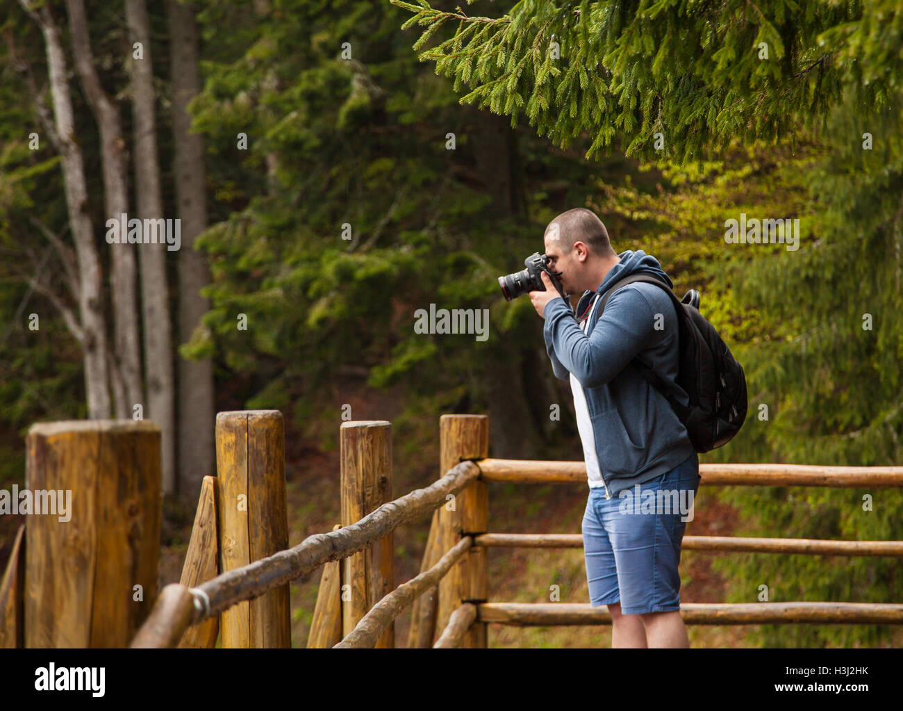 Man taking photos on the veranda in the forest Stock Photo - Alamy