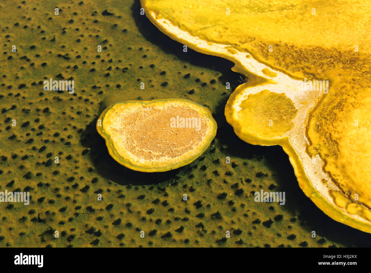 Hot spring microbes hi-res stock photography and images - Alamy
