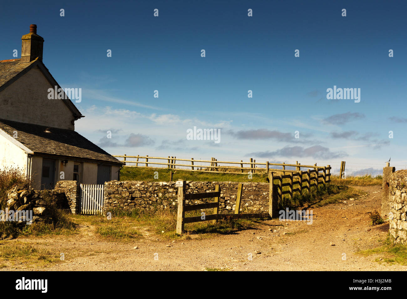 Traditional old farmhouse in the Cornish countryside, England Stock ...