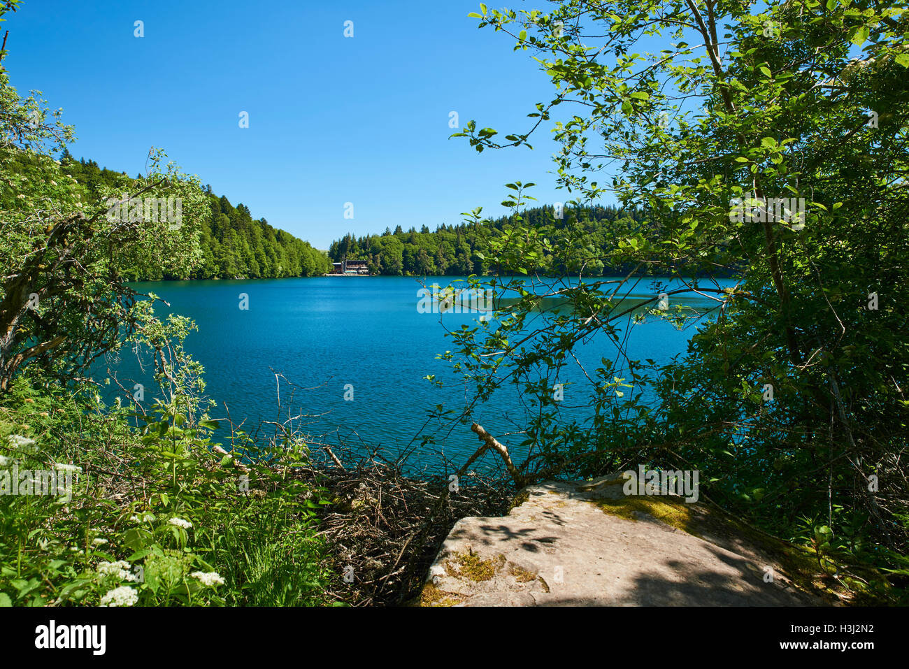 Pavin lake hi-res stock photography and images - Alamy