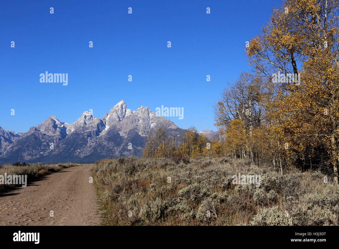 On the Way to a Mountain Range, Grand Teton NP Stock Photo - Alamy