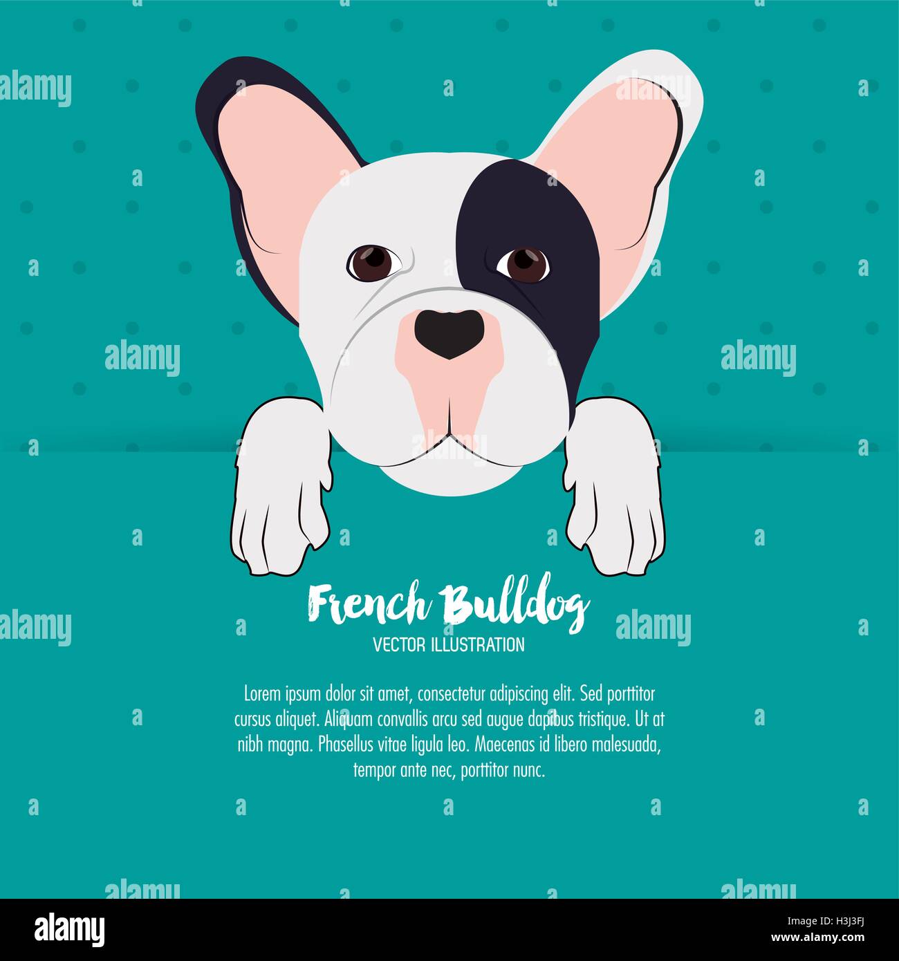French bulldog design , vector illustration Stock Vector Image & Art ...