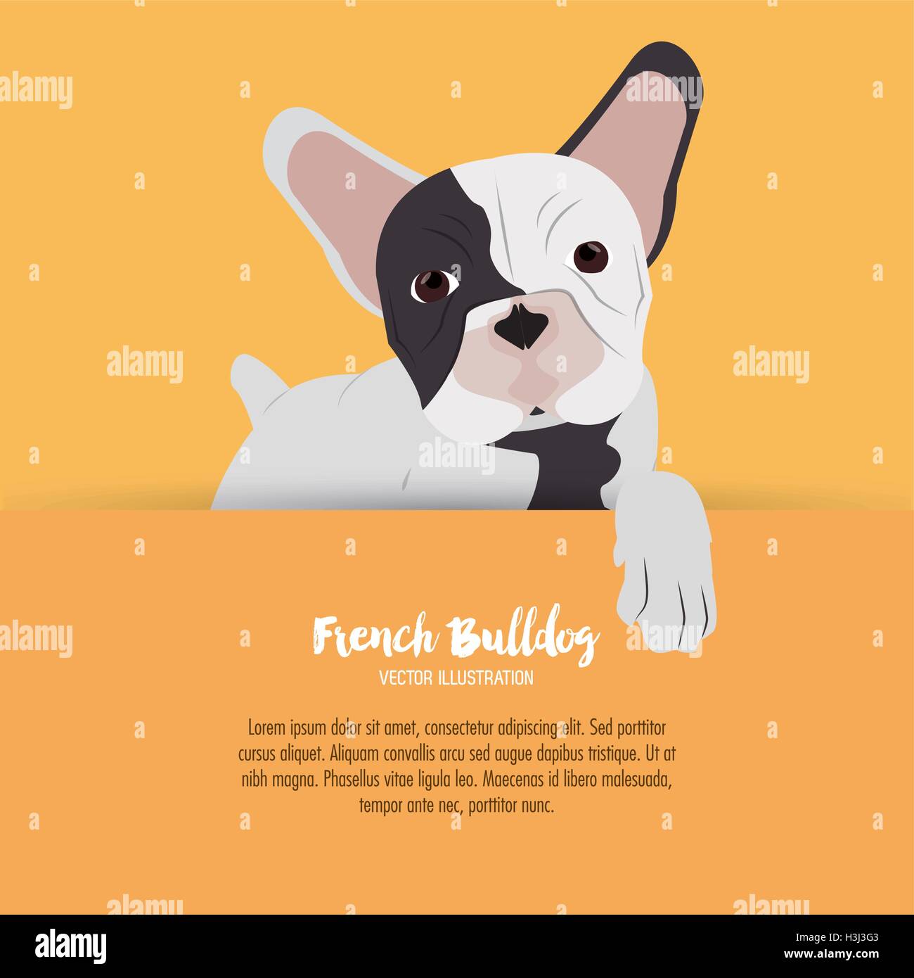 French bulldog design , vector illustration Stock Vector Image & Art ...
