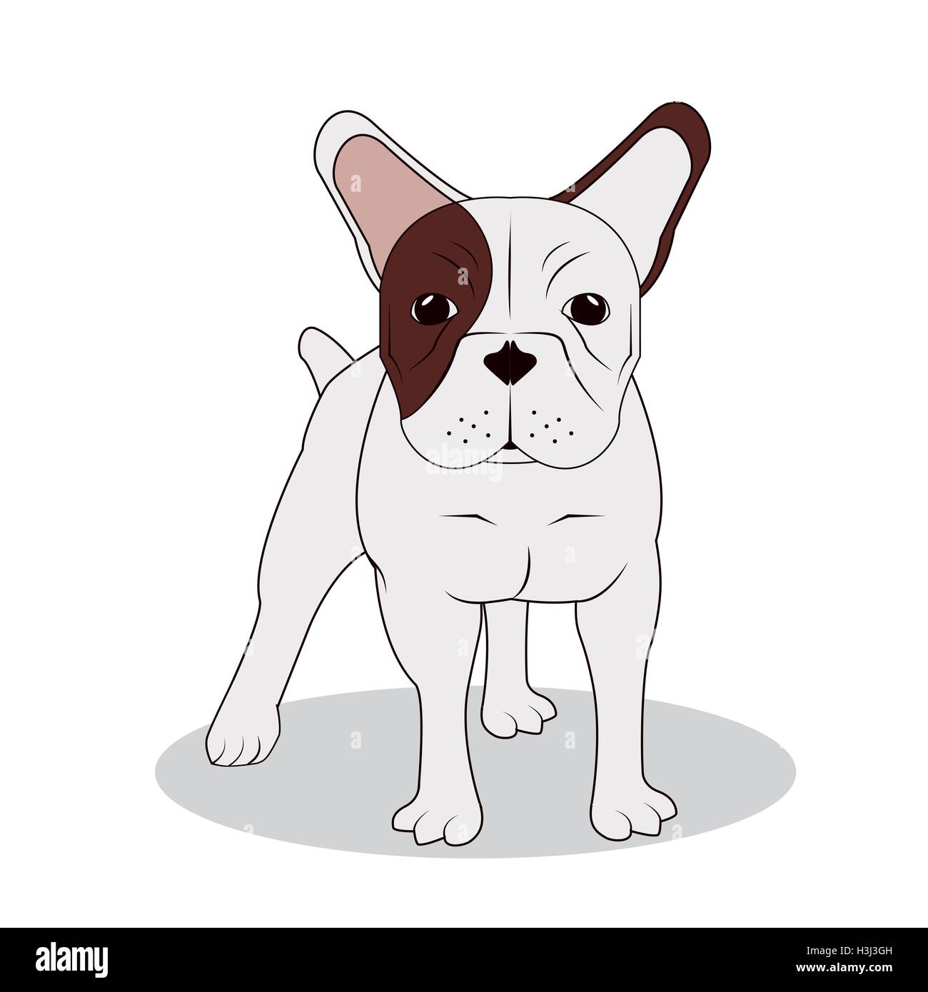 French bulldog design , vector illustration Stock Vector Image & Art ...