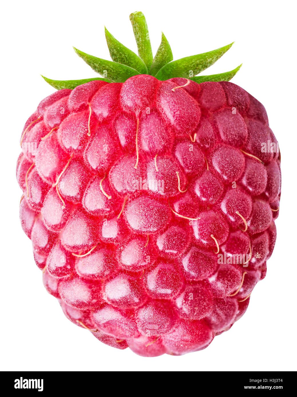 ripe raspberry isolated on a white background clipping path Stock Photo ...