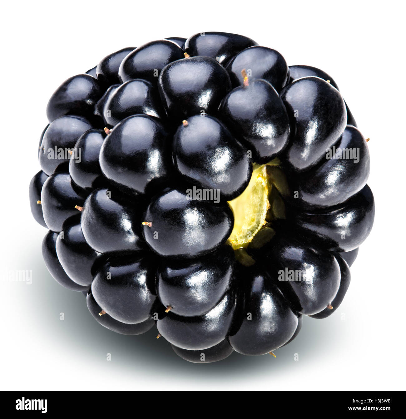 Blackberry isolated on white background Stock Photo - Alamy