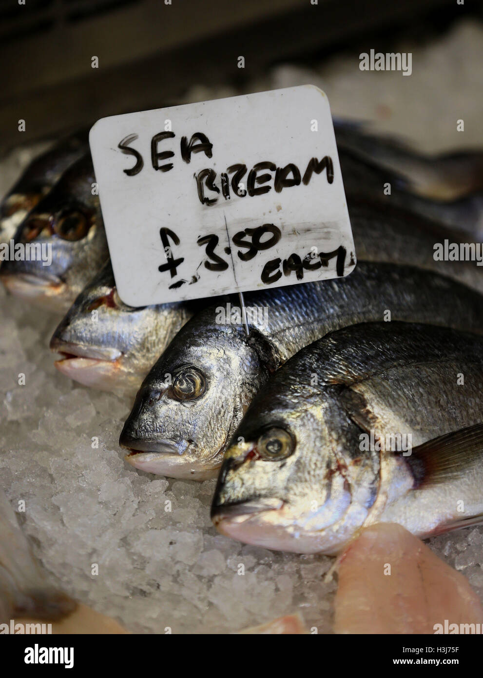 Fresh sea bream for sale at the family-owned Seahaze Traditional ...