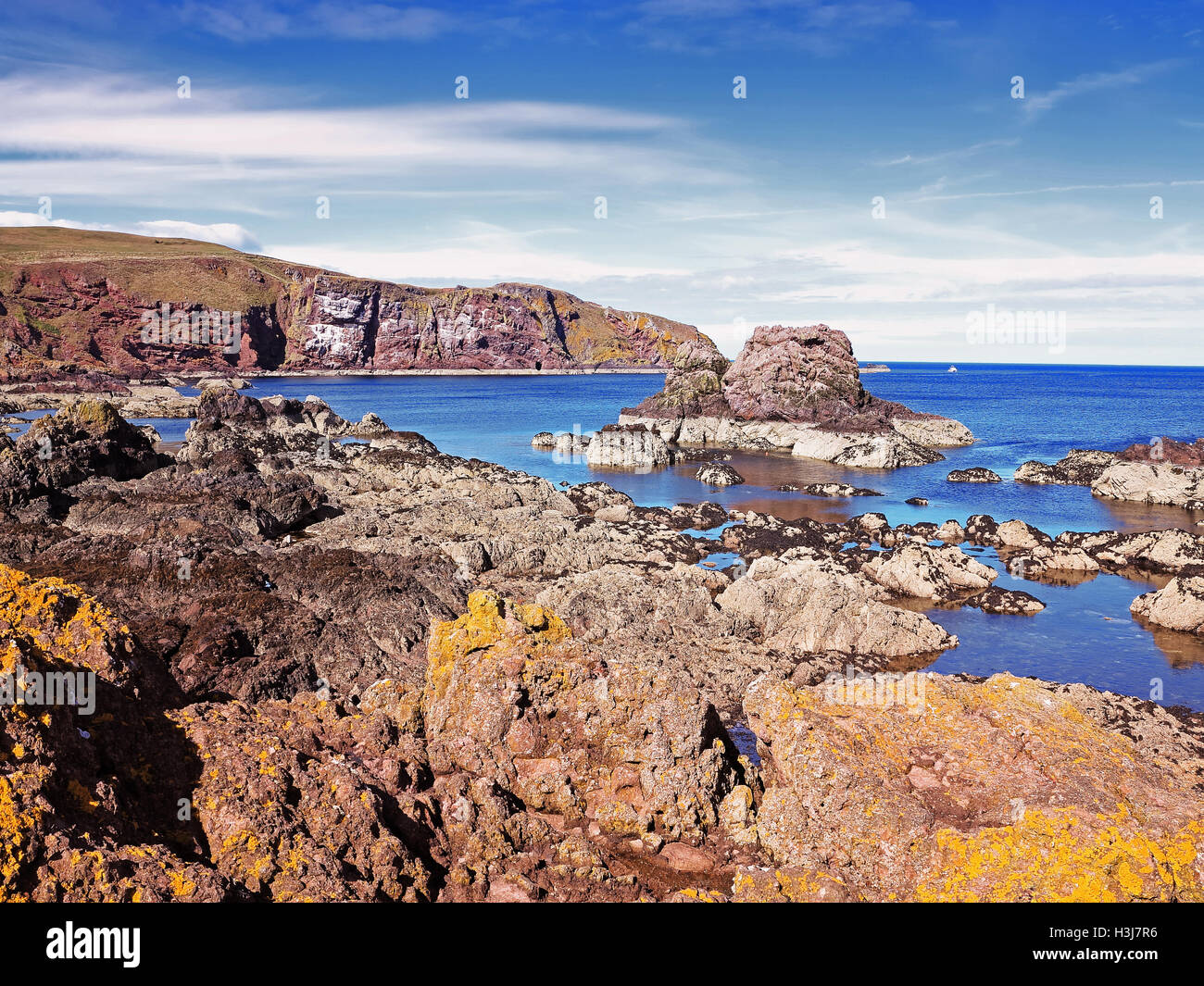 Colourful rocks at St Abbs, Scotland Stock Photo - Alamy